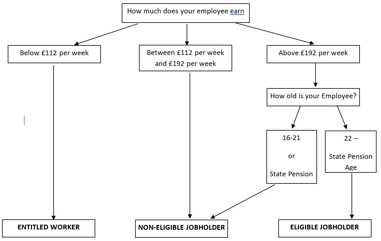 Automatic Enrolment Worker Categories